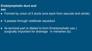 Anatomy of inner ear.pptx
