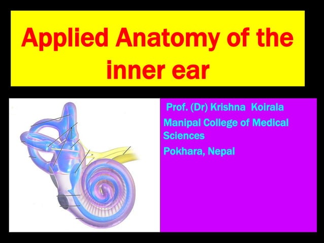 Anatomy of inner ear.ppt