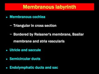 Anatomy of inner ear.ppt