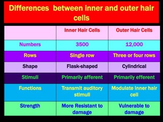 Anatomy of inner ear.ppt