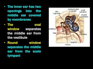 Anatomy of inner ear.ppt