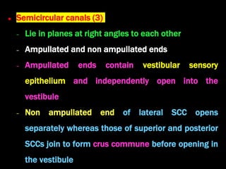 Anatomy of inner ear.ppt
