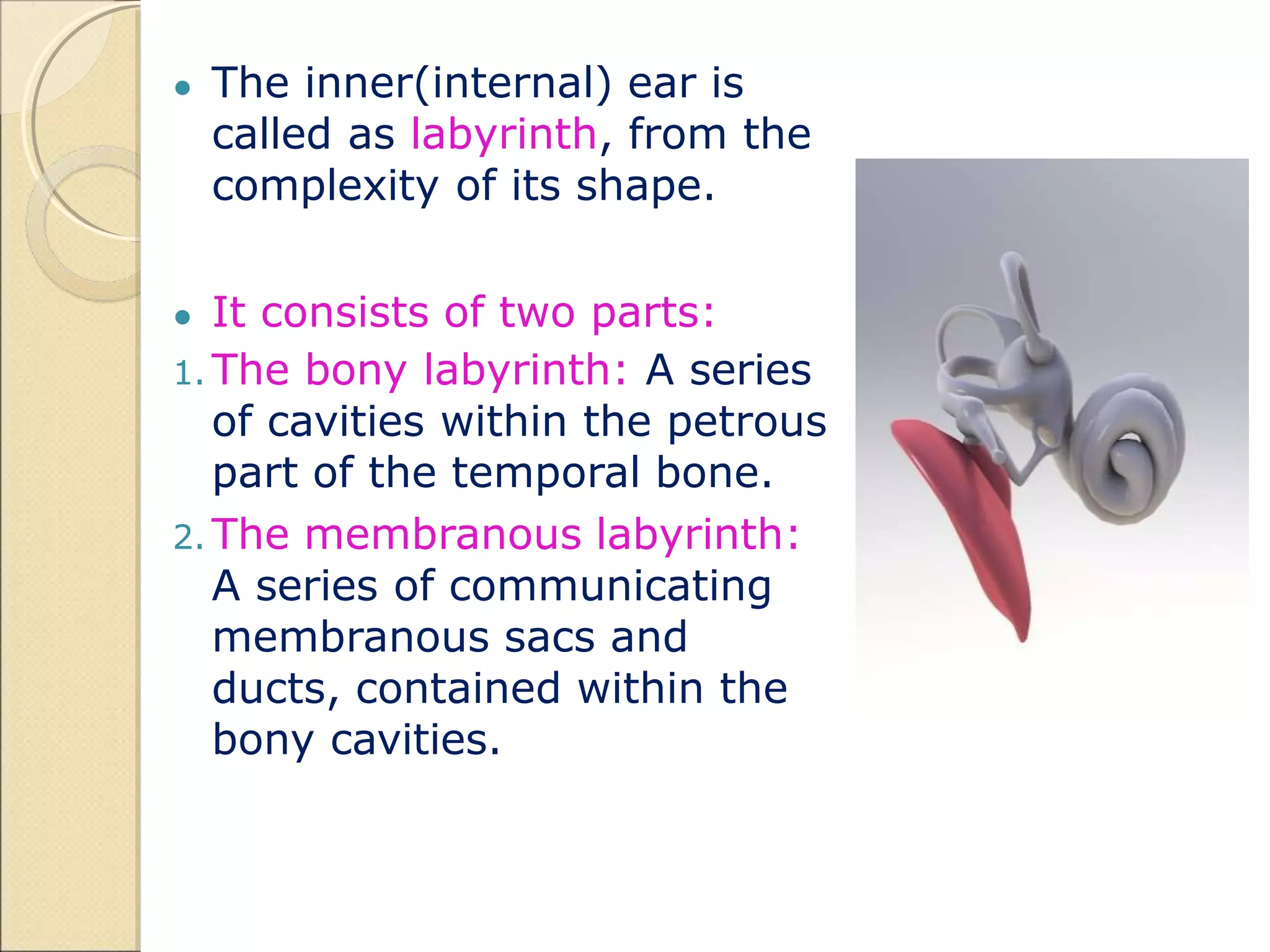 anatomy of inner ear.pptx
