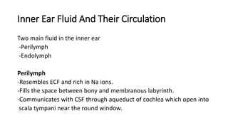 Anatomy Of Inner Ear.pptx