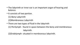Anatomy Of Inner Ear.pptx
