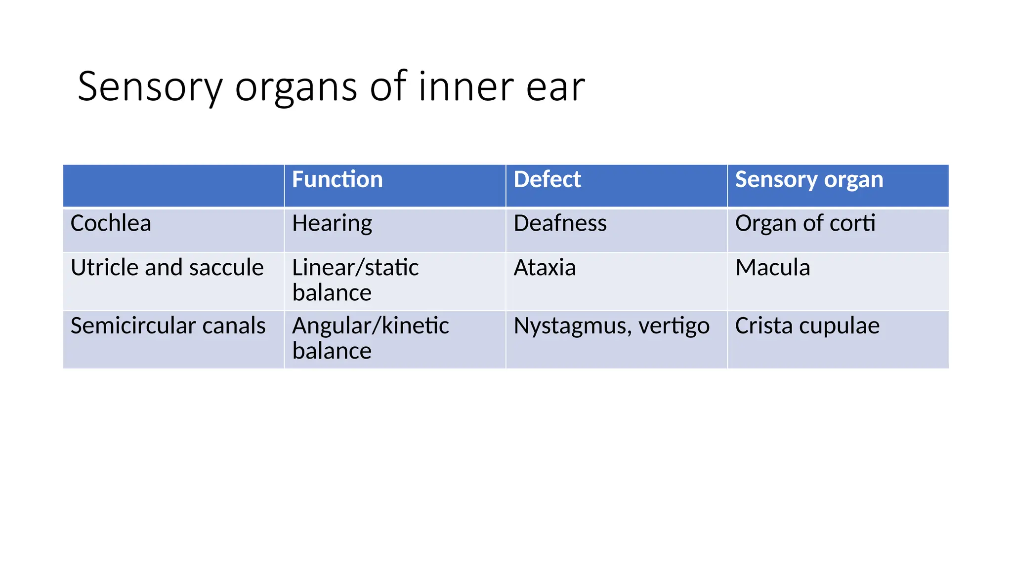 anatomy of inner ear. Development of inner ear, diagram | PPTX