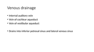 anatomy of inner ear. Development of inner ear, diagram | PPTX