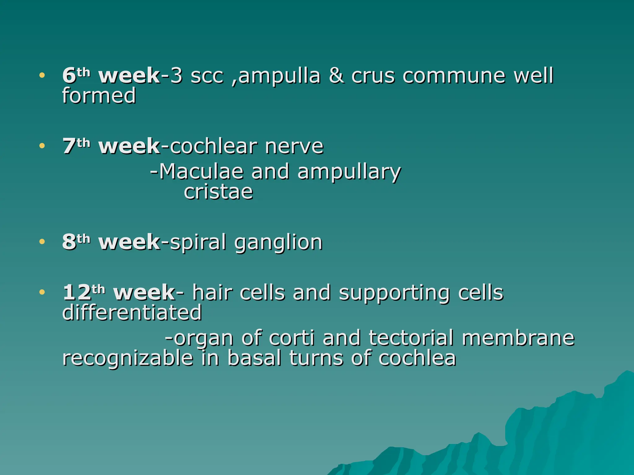 Anatomy Of Inner Ear.Anatomy Of Inner Earppt | PPT