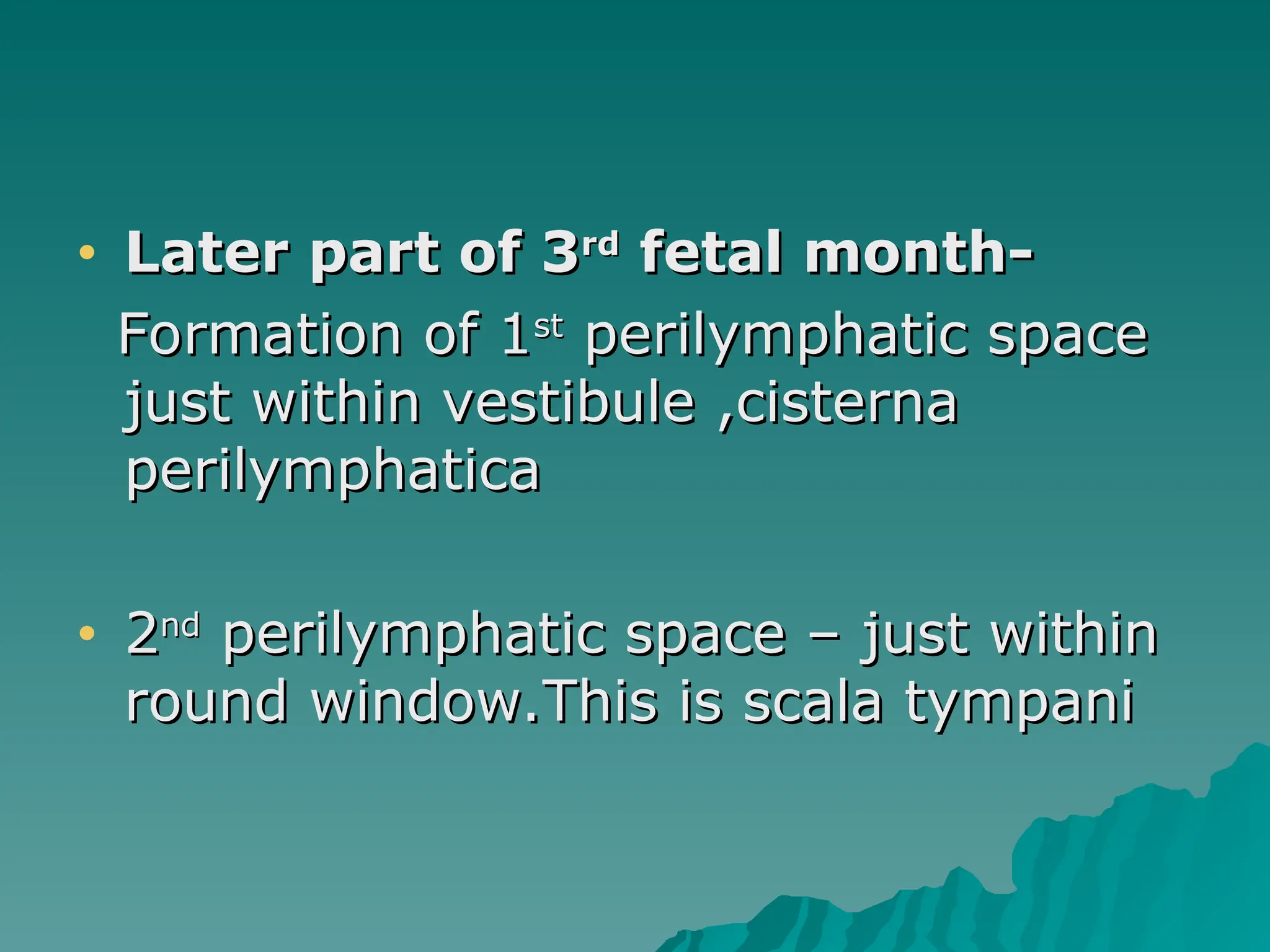 Anatomy Of Inner Ear.Anatomy Of Inner Earppt | PPT