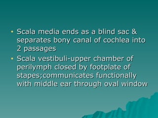 Anatomy Of Inner Ear.Anatomy Of Inner Earppt | PPT