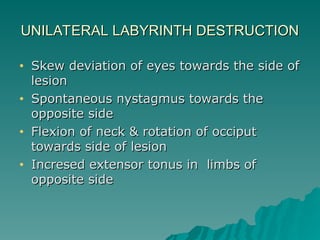 Anatomy Of Inner Ear.Anatomy Of Inner Earppt | PPT