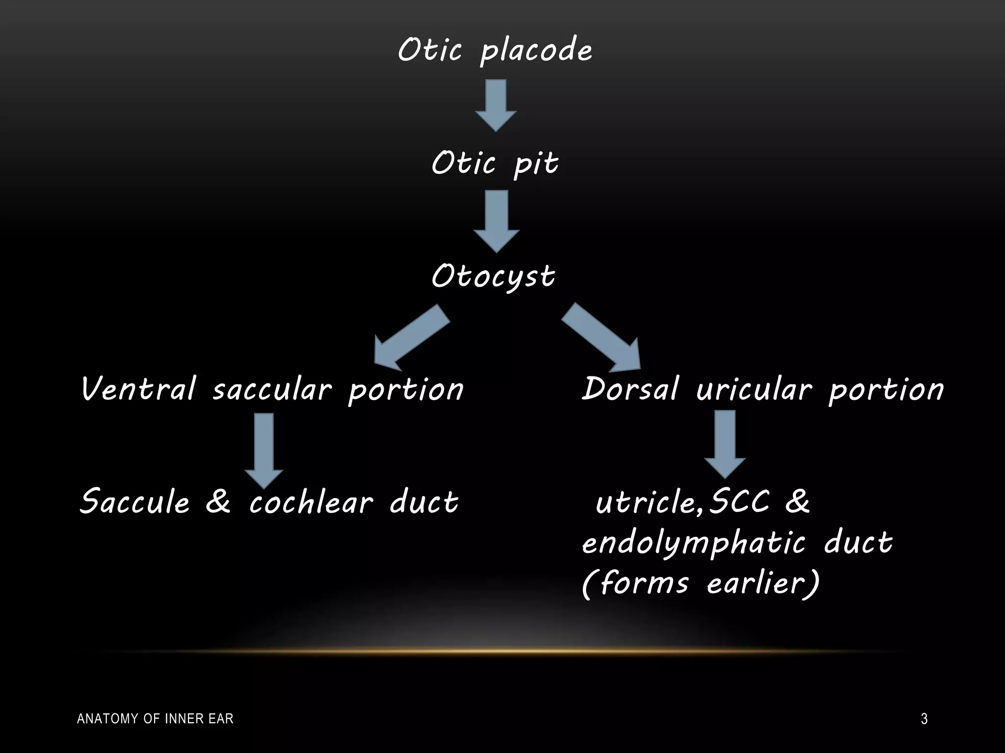 Anatomy of Inner Ear -Dr. Ashly Alexander | PPTX