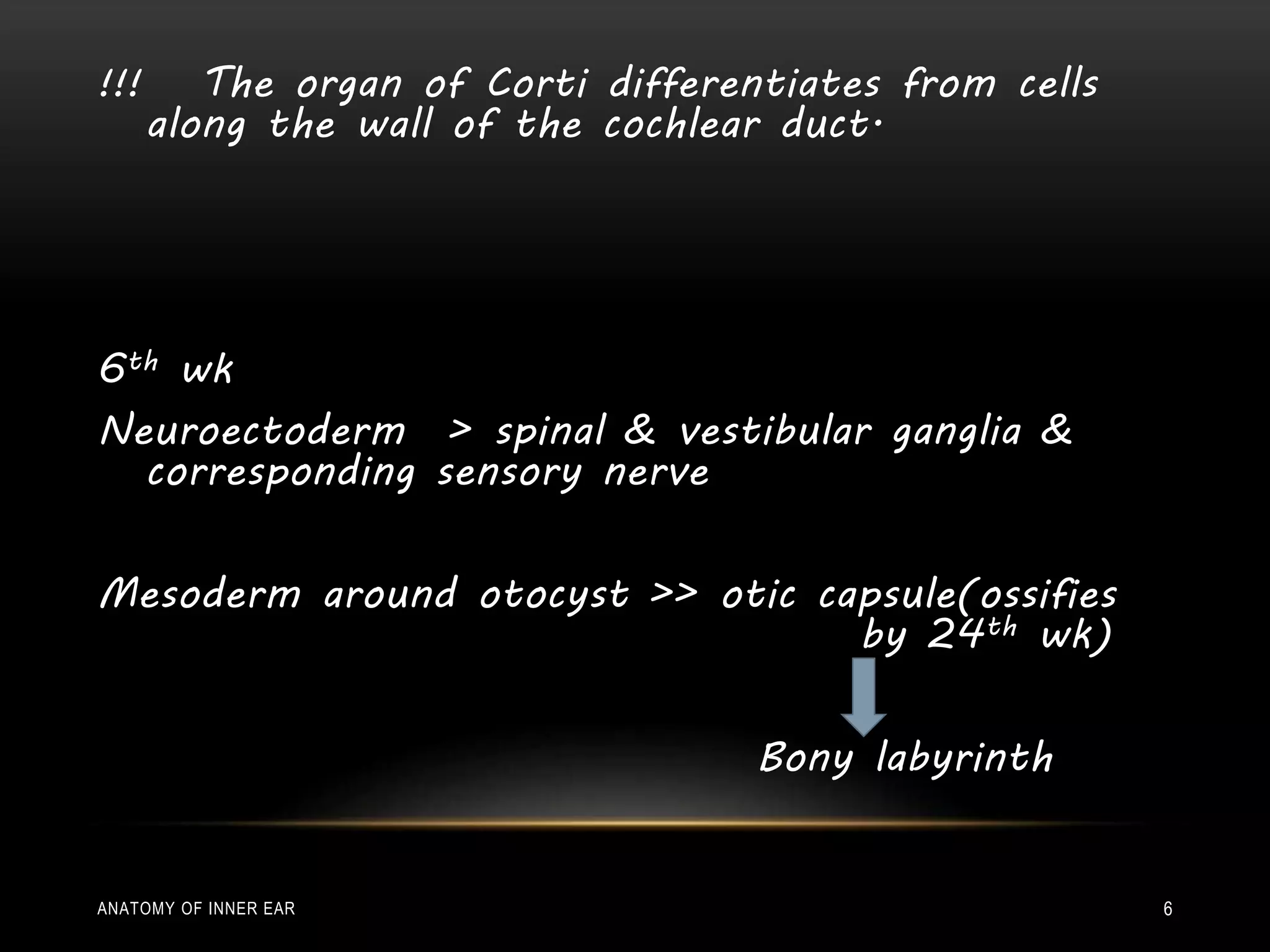 Anatomy of Inner Ear -Dr. Ashly Alexander | PPTX