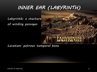 Anatomy of Inner Ear -Dr. Ashly Alexander | PPTX