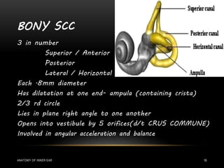 Anatomy of Inner Ear -Dr. Ashly Alexander | PPTX