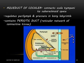 Anatomy of Inner Ear -Dr. Ashly Alexander | PPTX