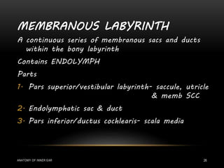 Anatomy of Inner Ear -Dr. Ashly Alexander | PPTX