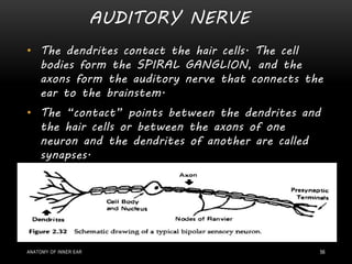 Anatomy of Inner Ear -Dr. Ashly Alexander | PPTX