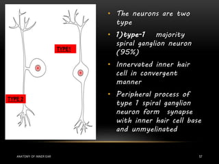 Anatomy of Inner Ear -Dr. Ashly Alexander | PPTX
