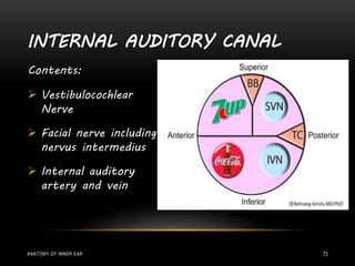 Anatomy of Inner Ear -Dr. Ashly Alexander | PPTX
