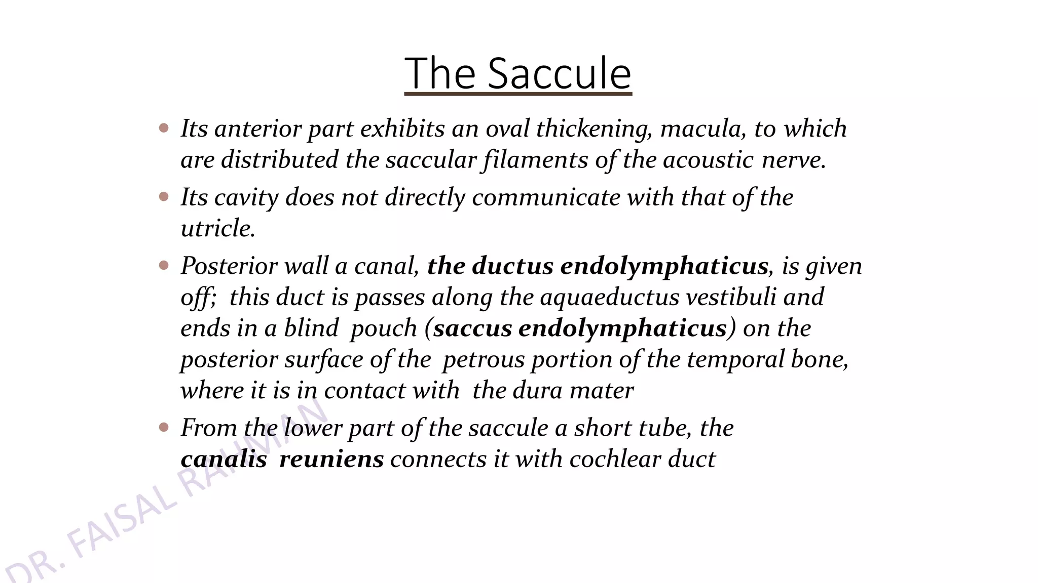 Anatomy of inner ear dr. faisal rahman | PPTX