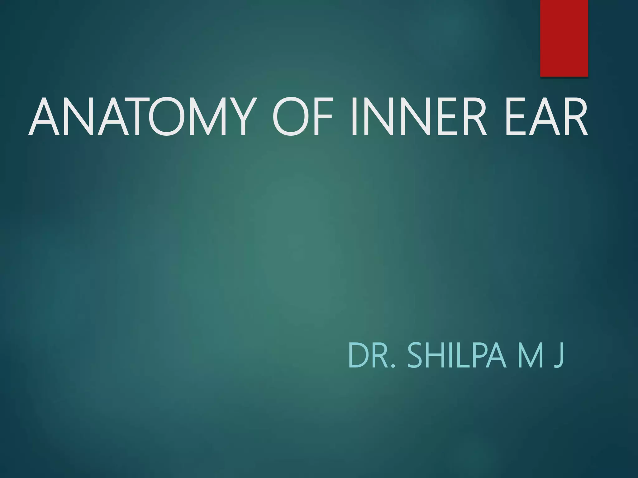 Anatomy of the Inner ear | PPT