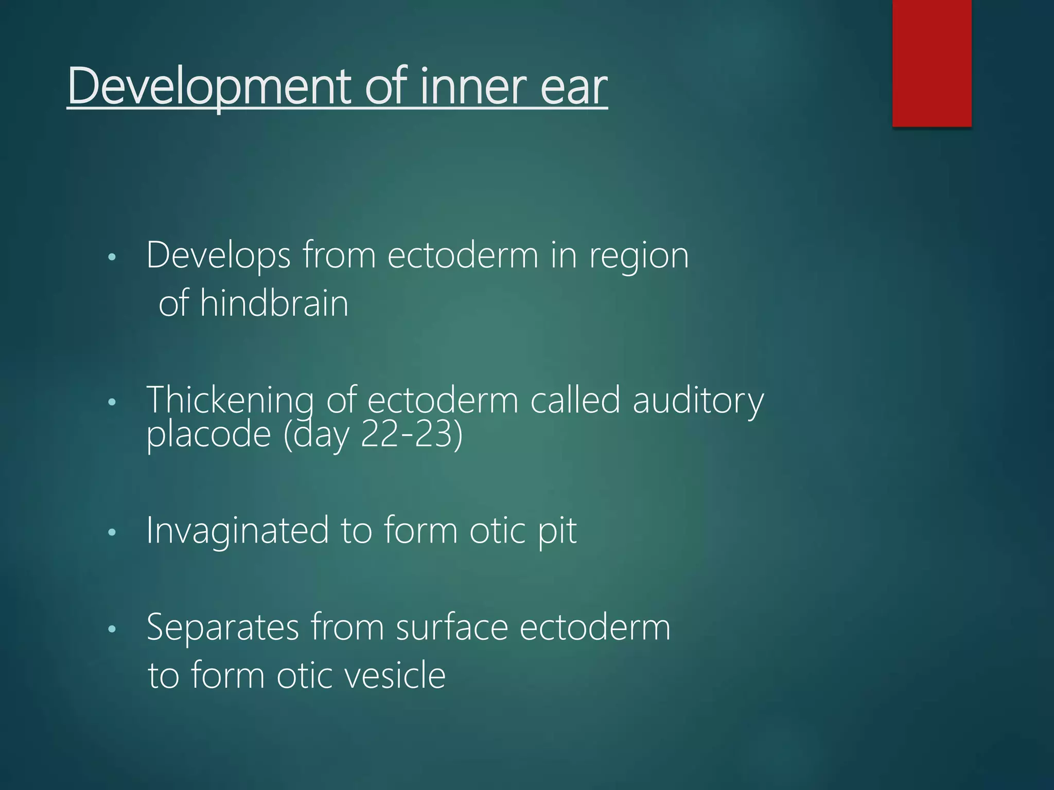 Anatomy of the Inner ear | PPT