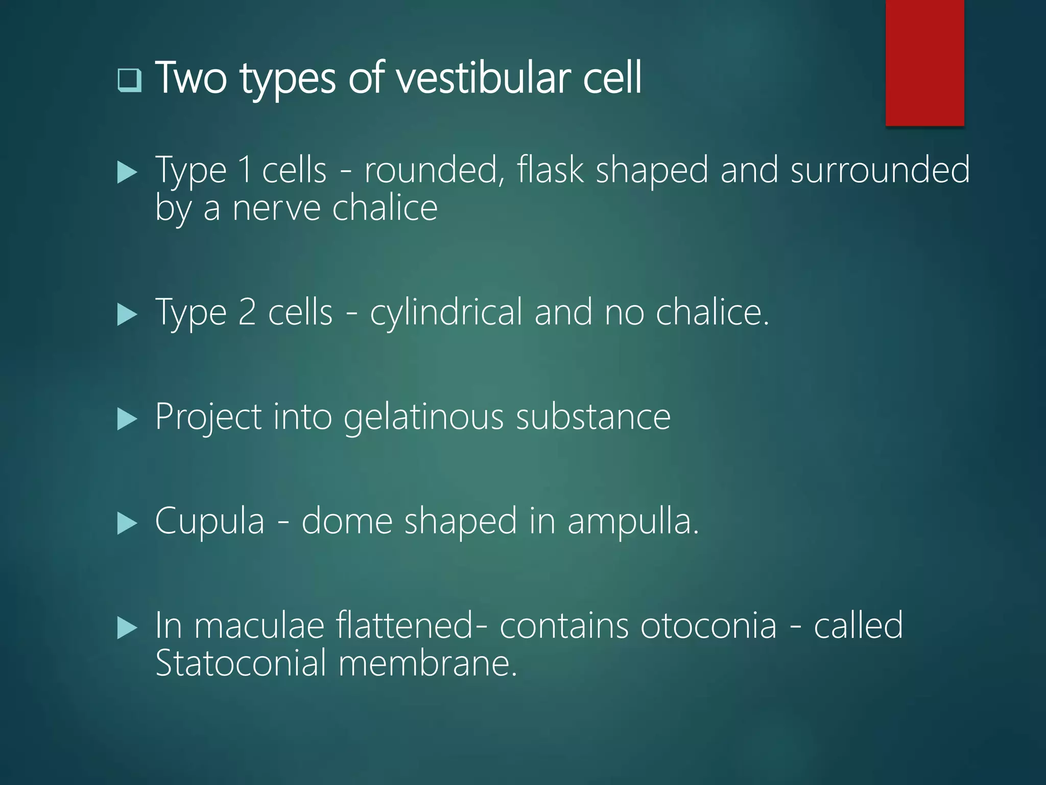 Anatomy of the Inner ear | PPT