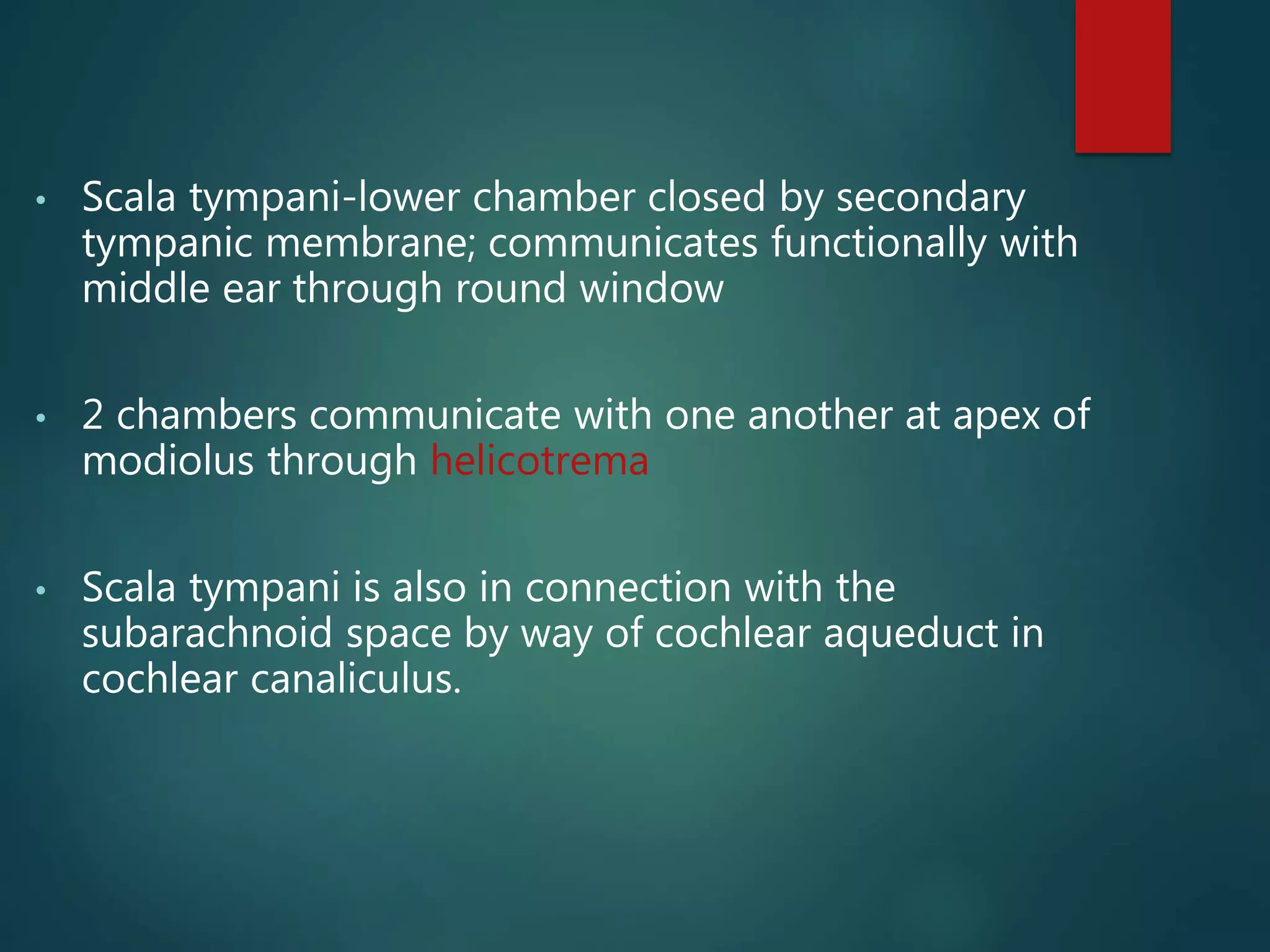 Anatomy of the Inner ear | PPT
