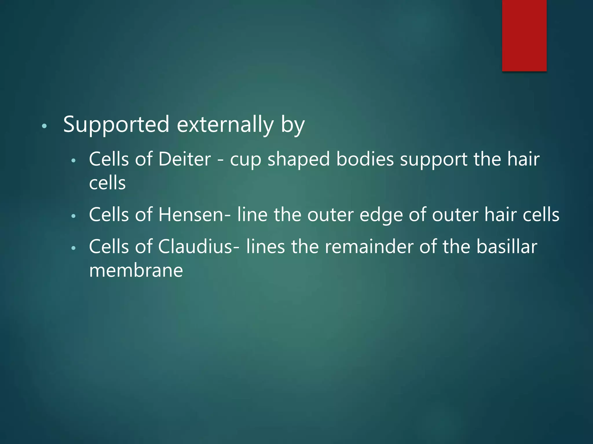 Anatomy of the Inner ear | PPT