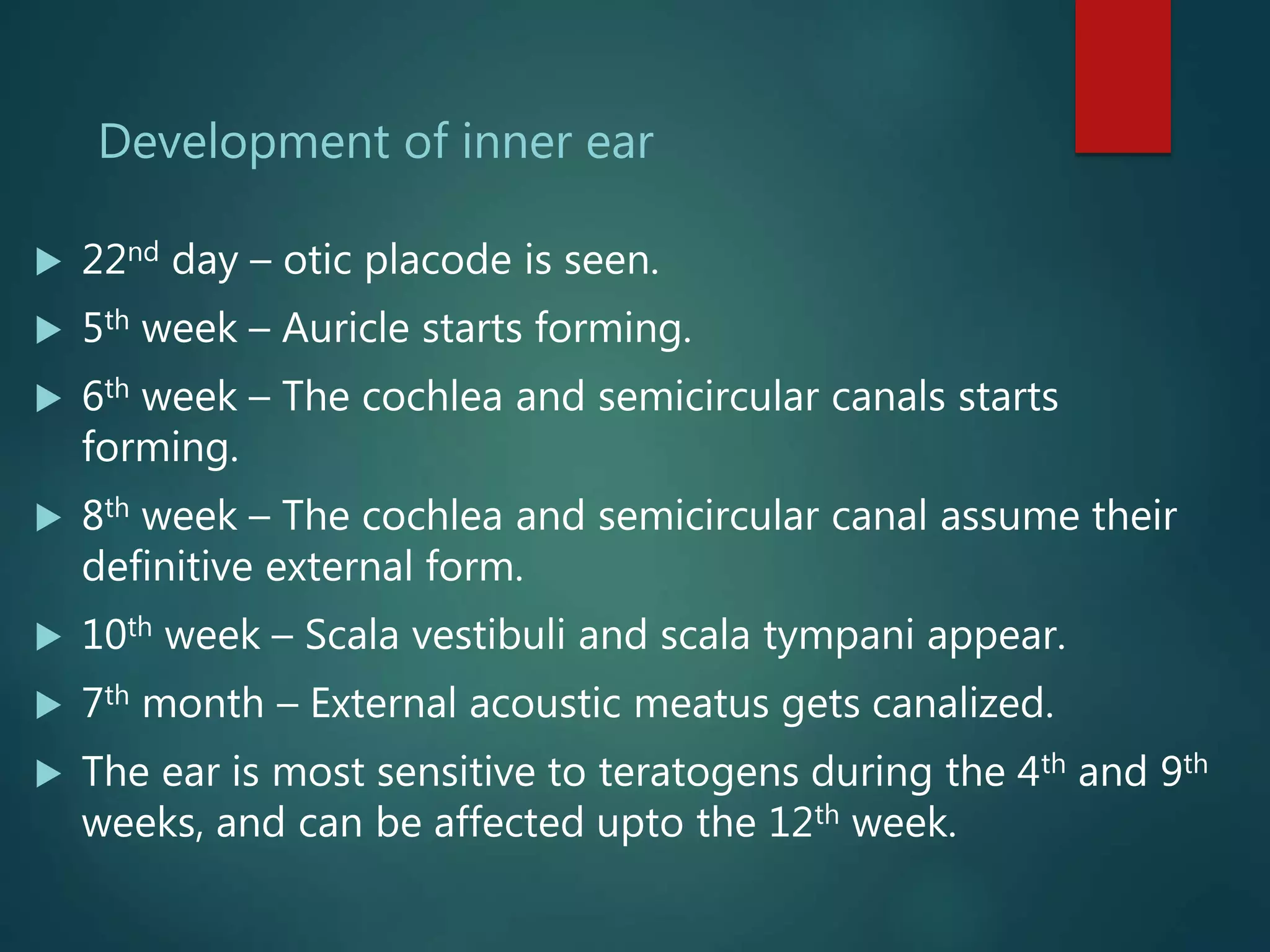 Anatomy of the Inner ear | PPT