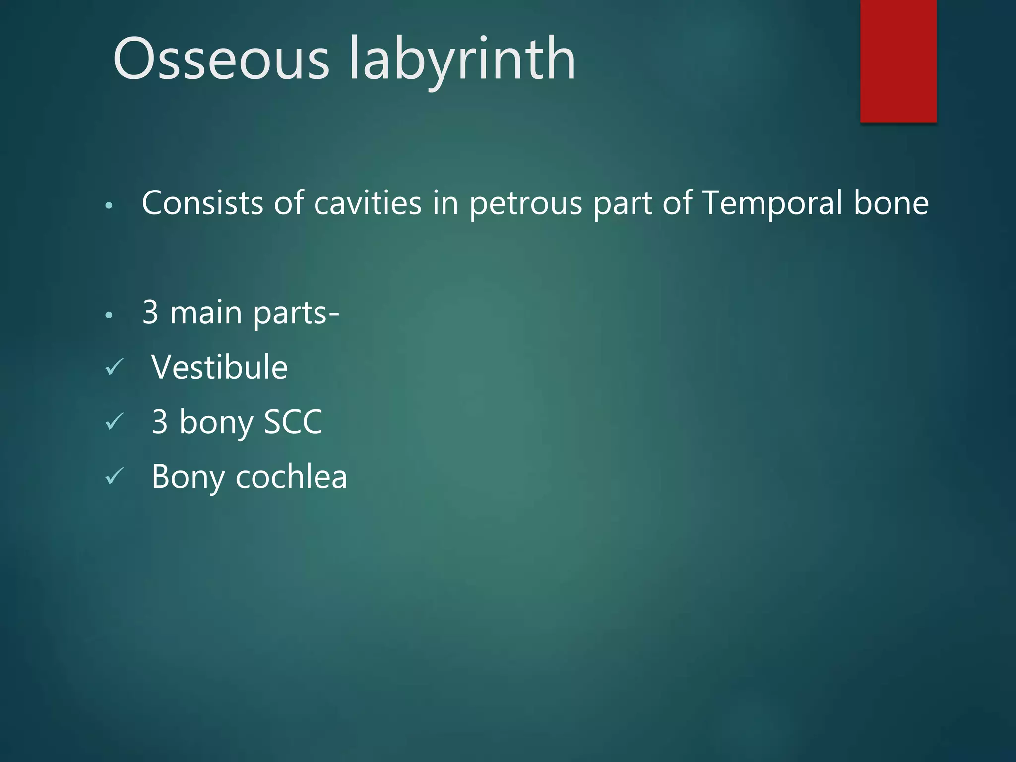 Anatomy of the Inner ear | PPT