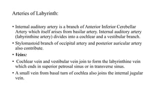 Anatomy of Inner ear(1).pptx | Ear, Nose and Throat Conditions ...