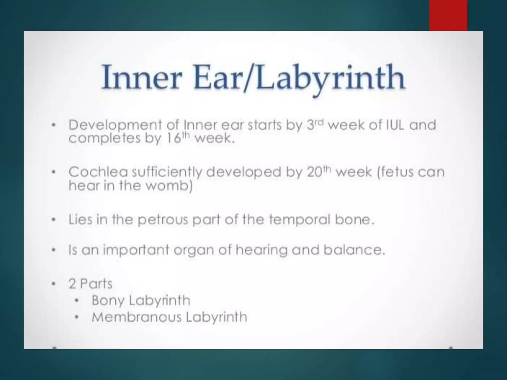 anatomy of inner ear 12345.pptx