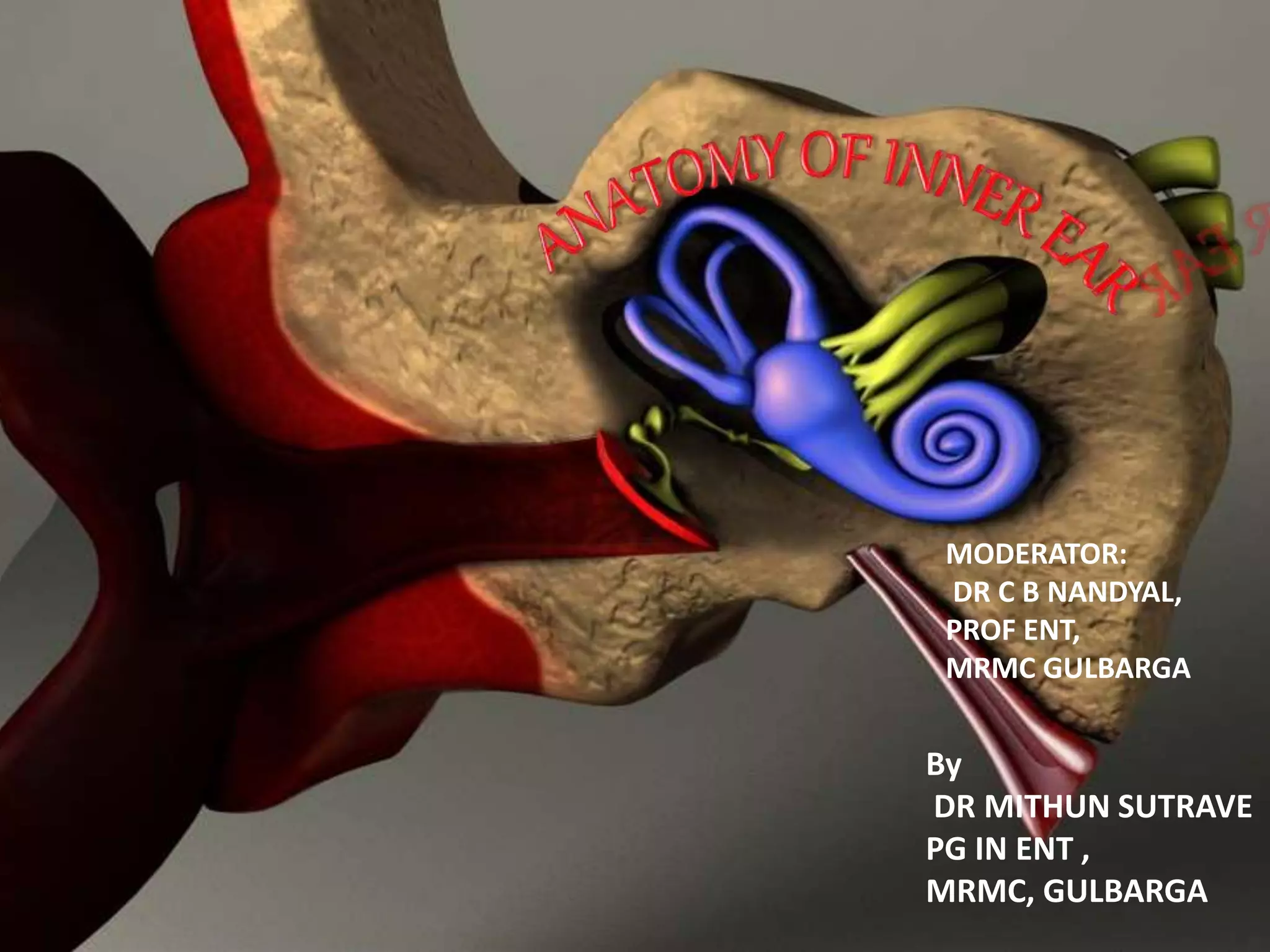 Anatomy of inner ear hk | PPTX