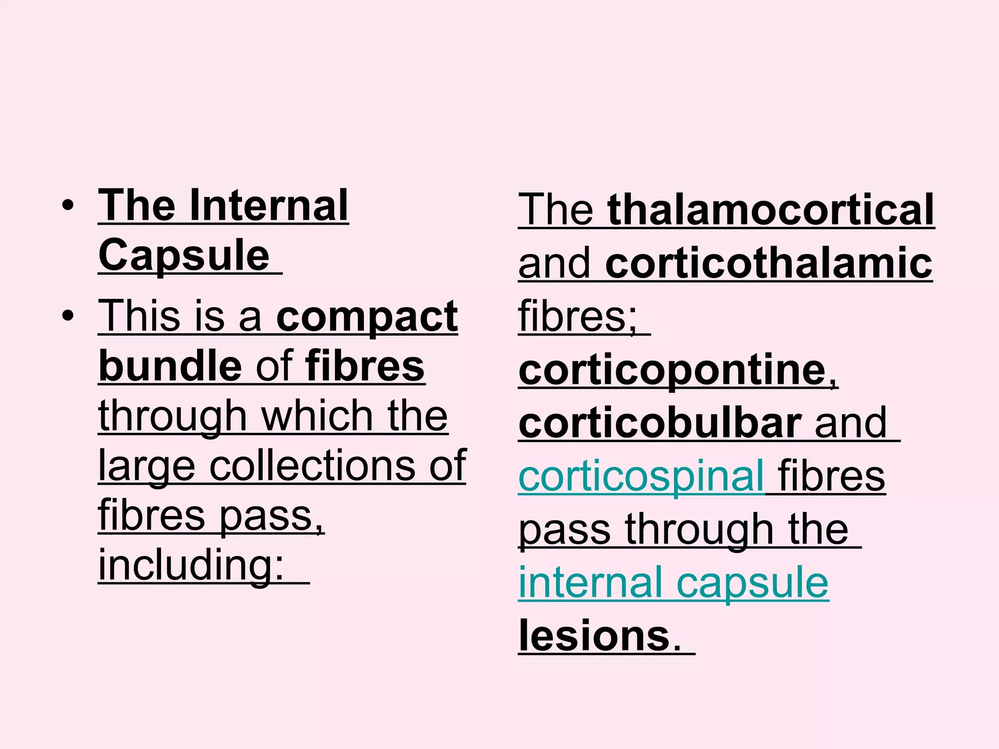 Anatomy of internal capsule | PPT