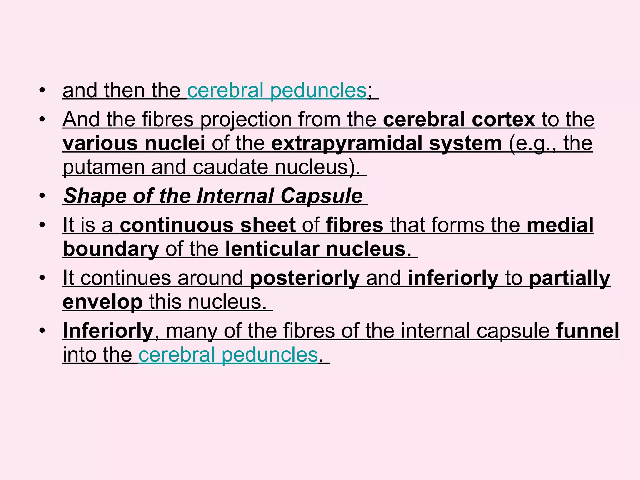 Anatomy of internal capsule | PPT
