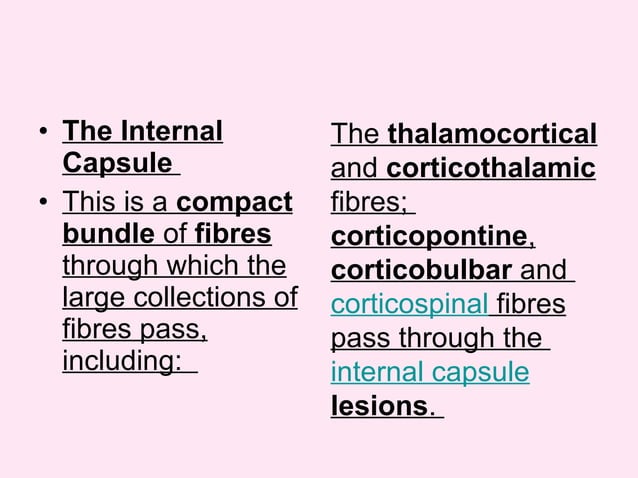 Anatomy of internal capsule | PPT