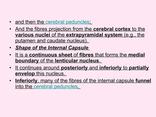 Anatomy of internal capsule | PPT