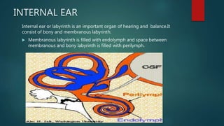 Anatomy of internal ear and physiology of hearing | PPT