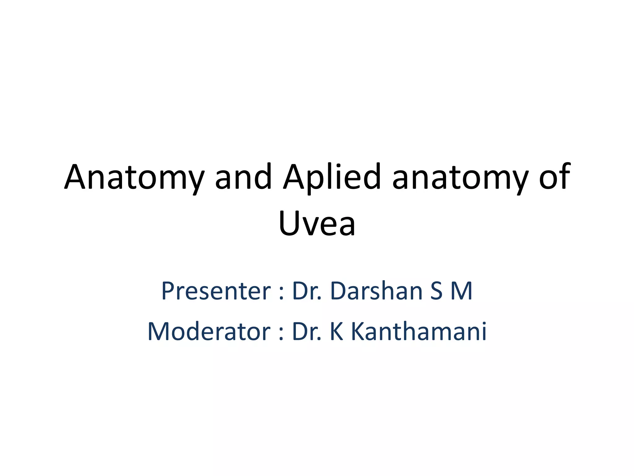 Anatomy of iris | PPTX