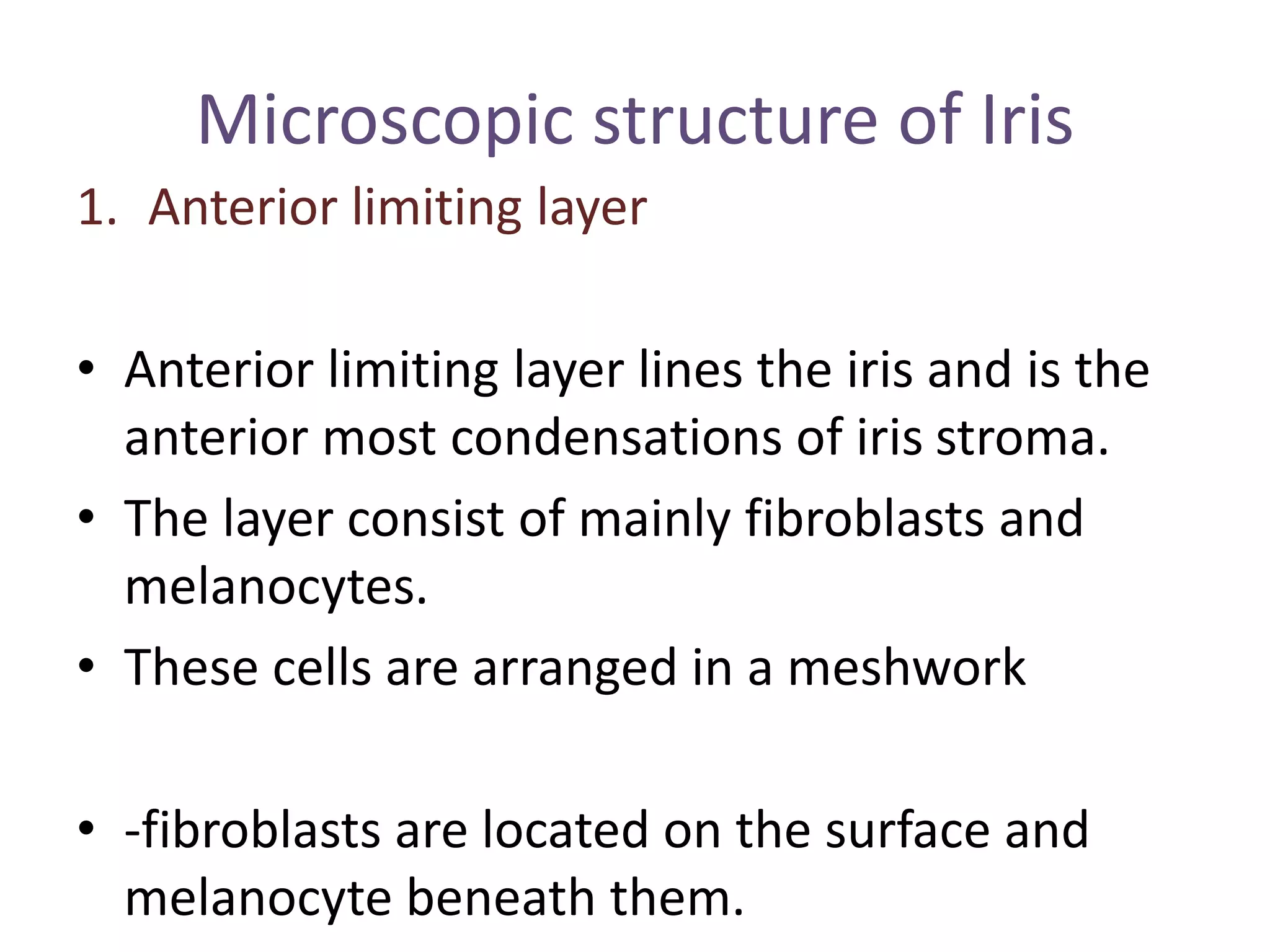 Anatomy of iris | PPTX
