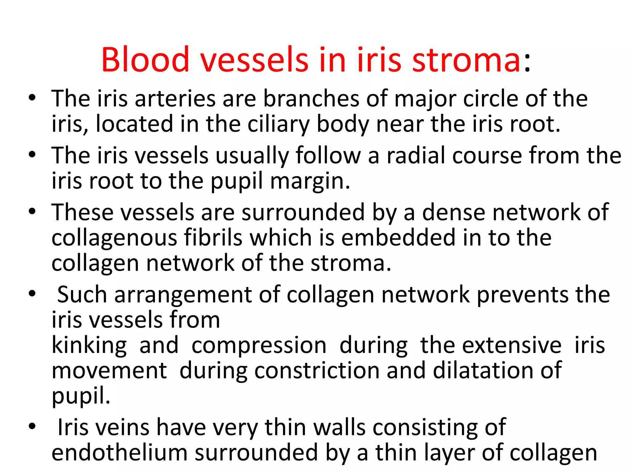 Anatomy of iris | PPTX