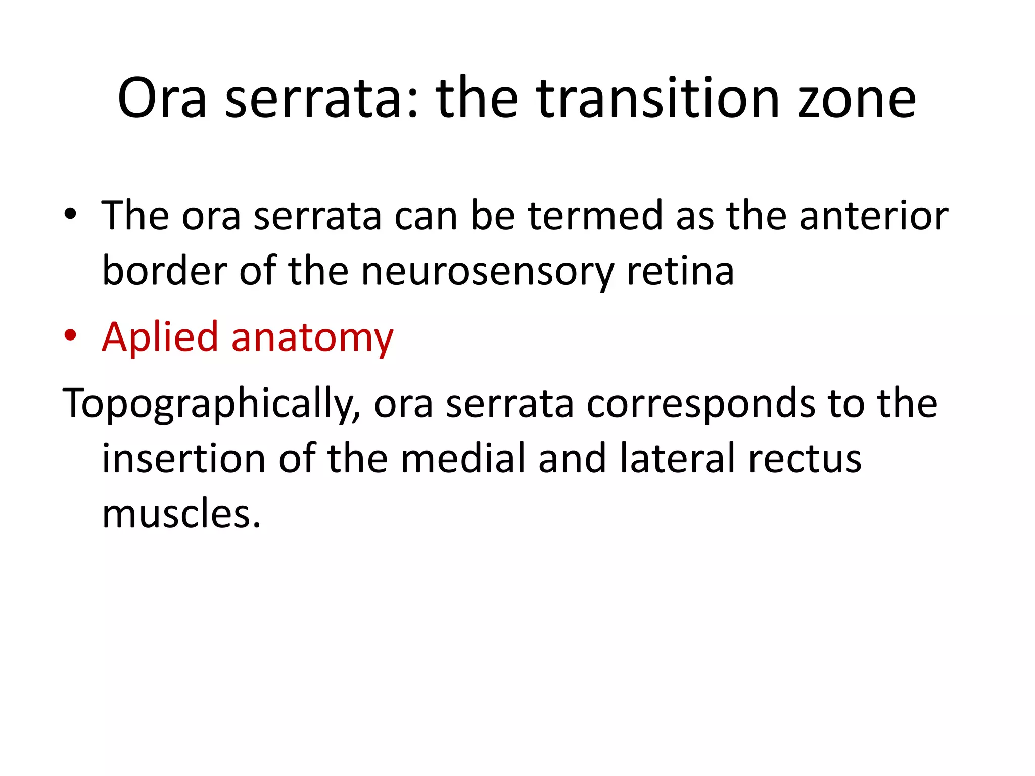 Anatomy of iris | PPTX