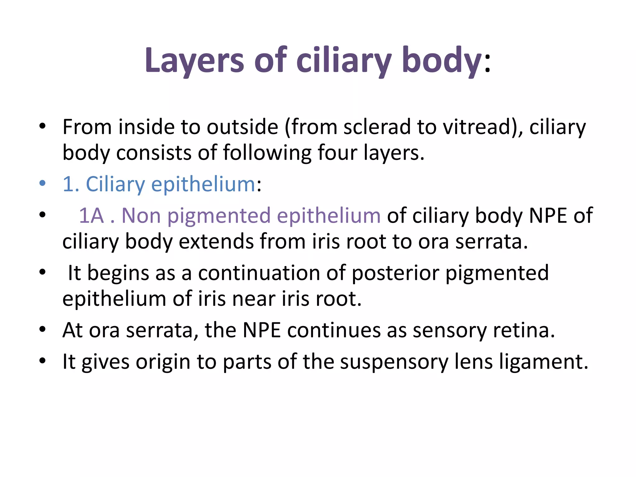 Anatomy of iris | PPTX