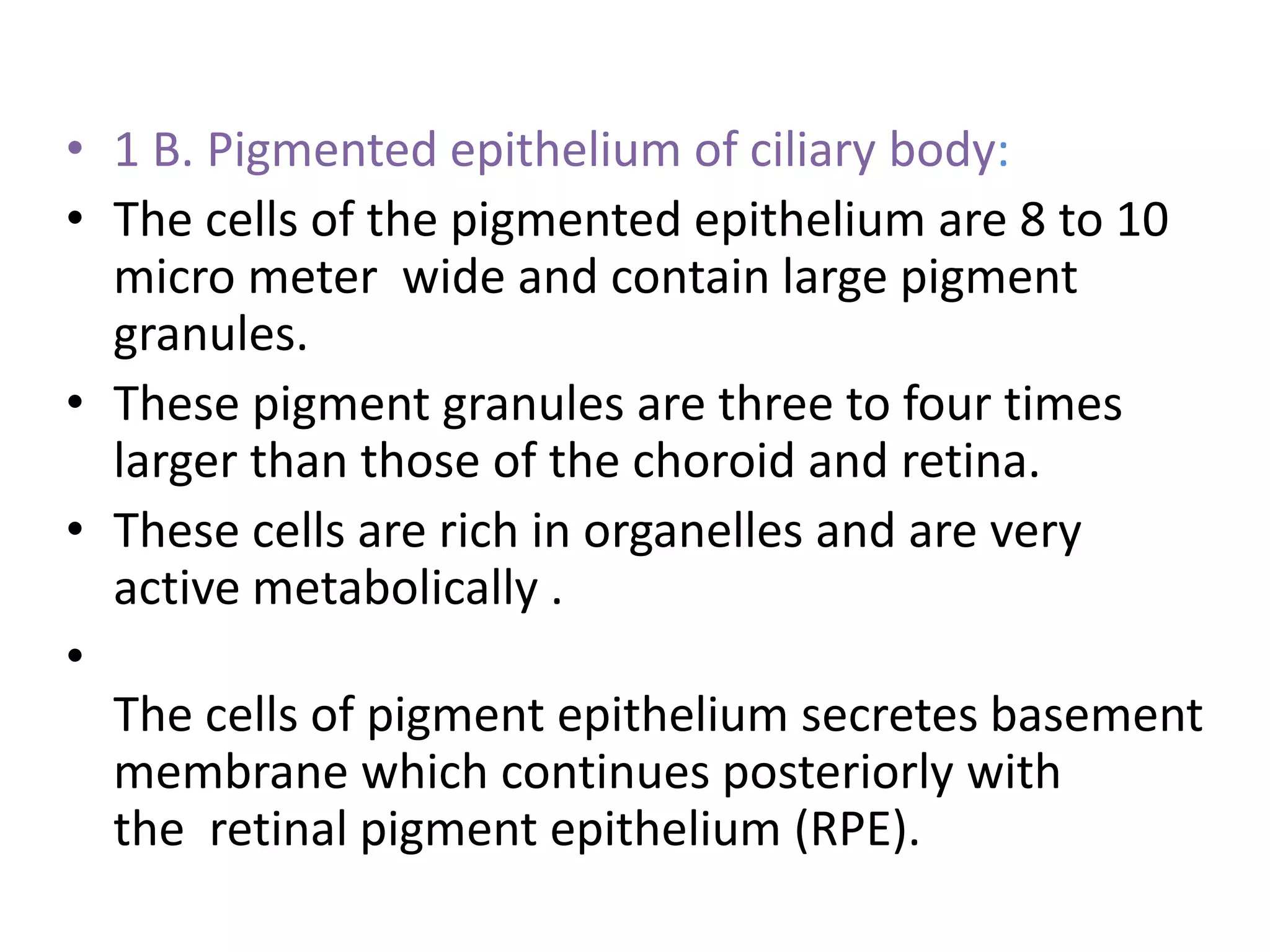 Anatomy of iris | PPTX
