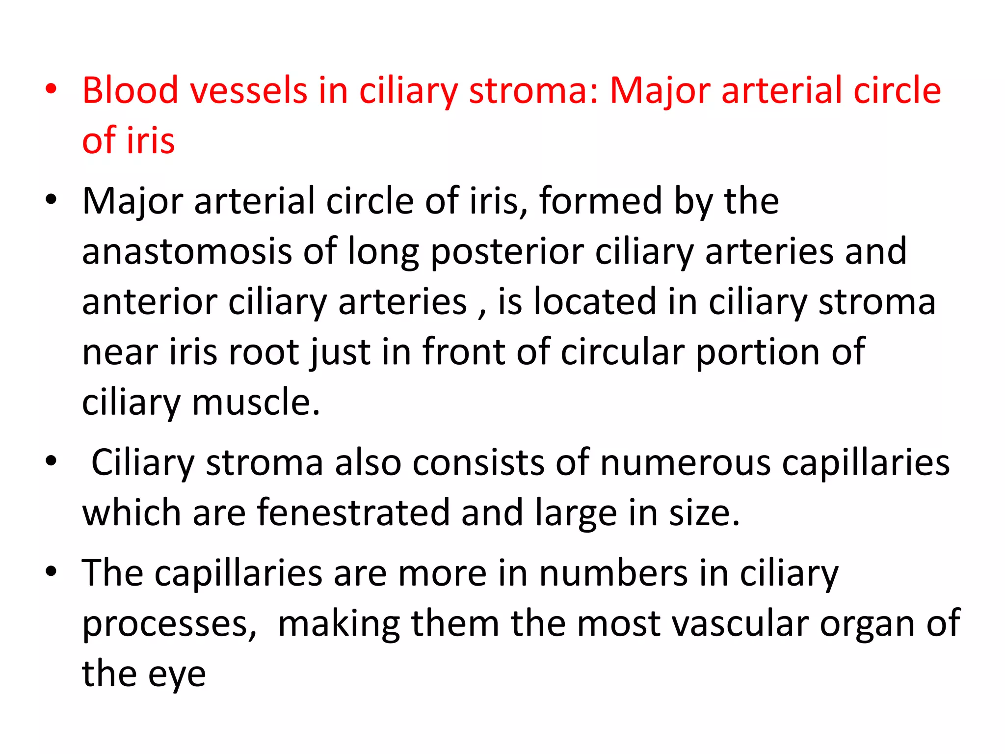Anatomy of iris | PPTX