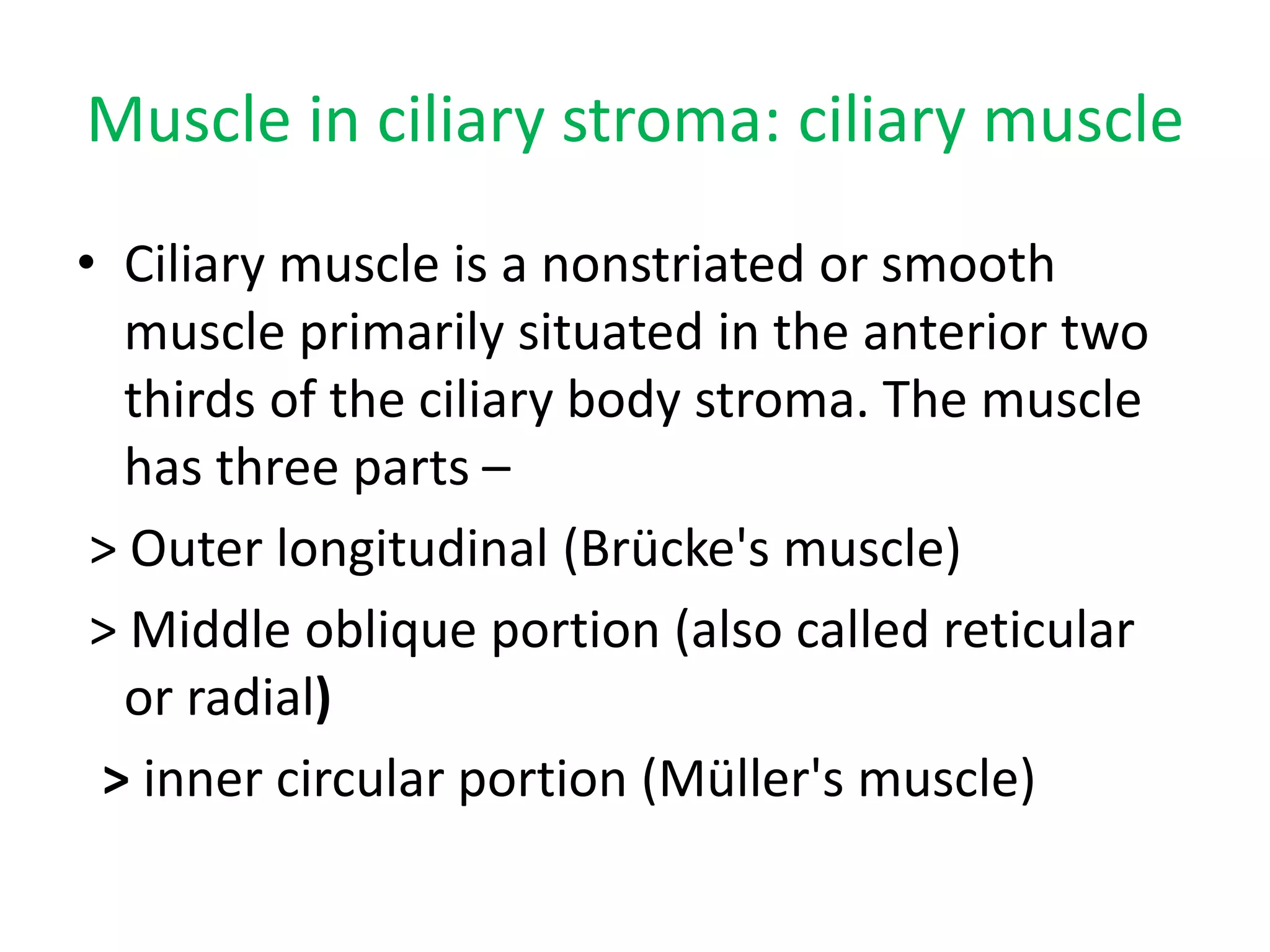 Anatomy of iris | PPTX