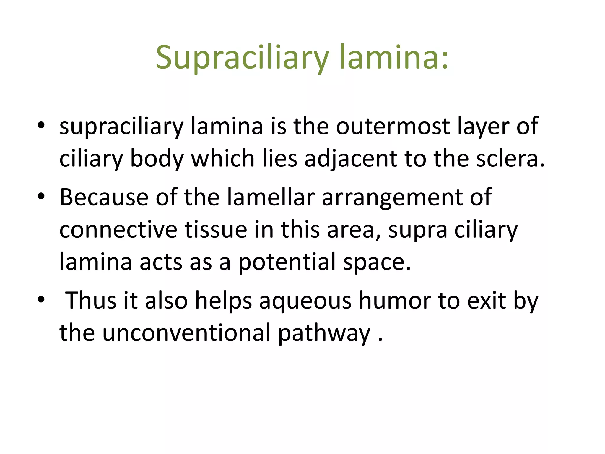 Anatomy of iris | PPTX