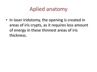 Anatomy of iris | PPTX